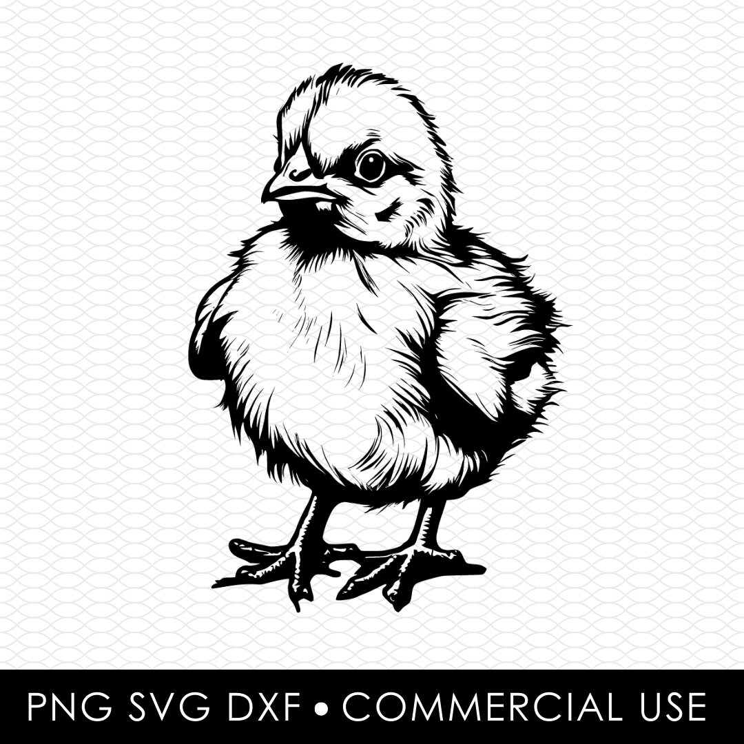 Chick Svg, Chicken Svgsvg Png, Sublimation Designs, Png Designs, Svg ...
