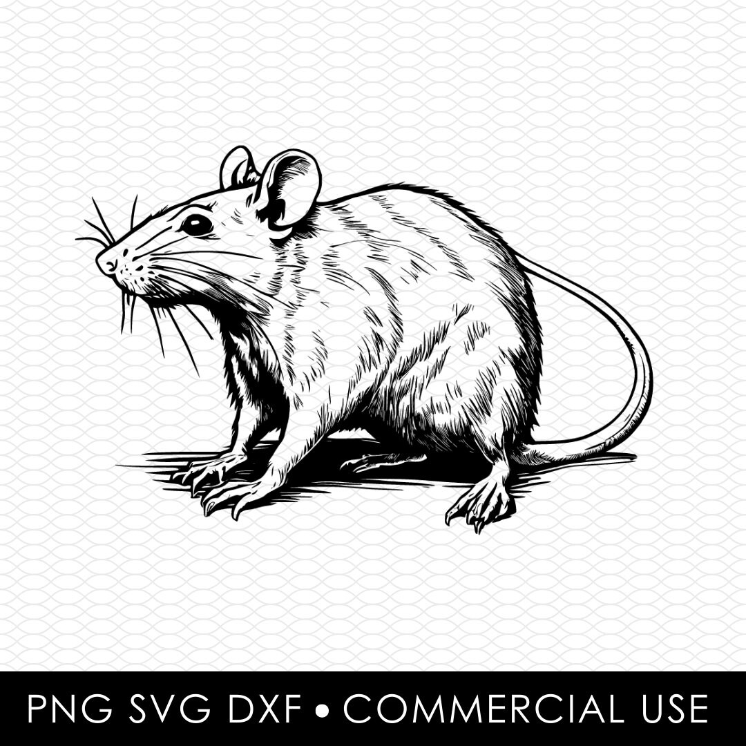 Rat Svg Png, Sublimation Designs, Png Designs, Svg Designs, Laser Cut ...