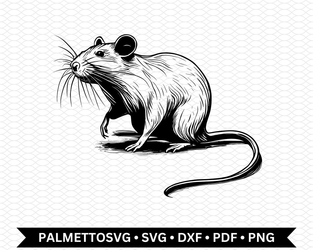 Rat Svg, Rat Dxf File, Rat Cut File, Rat Png, Rat Cut File, Svg Files ...