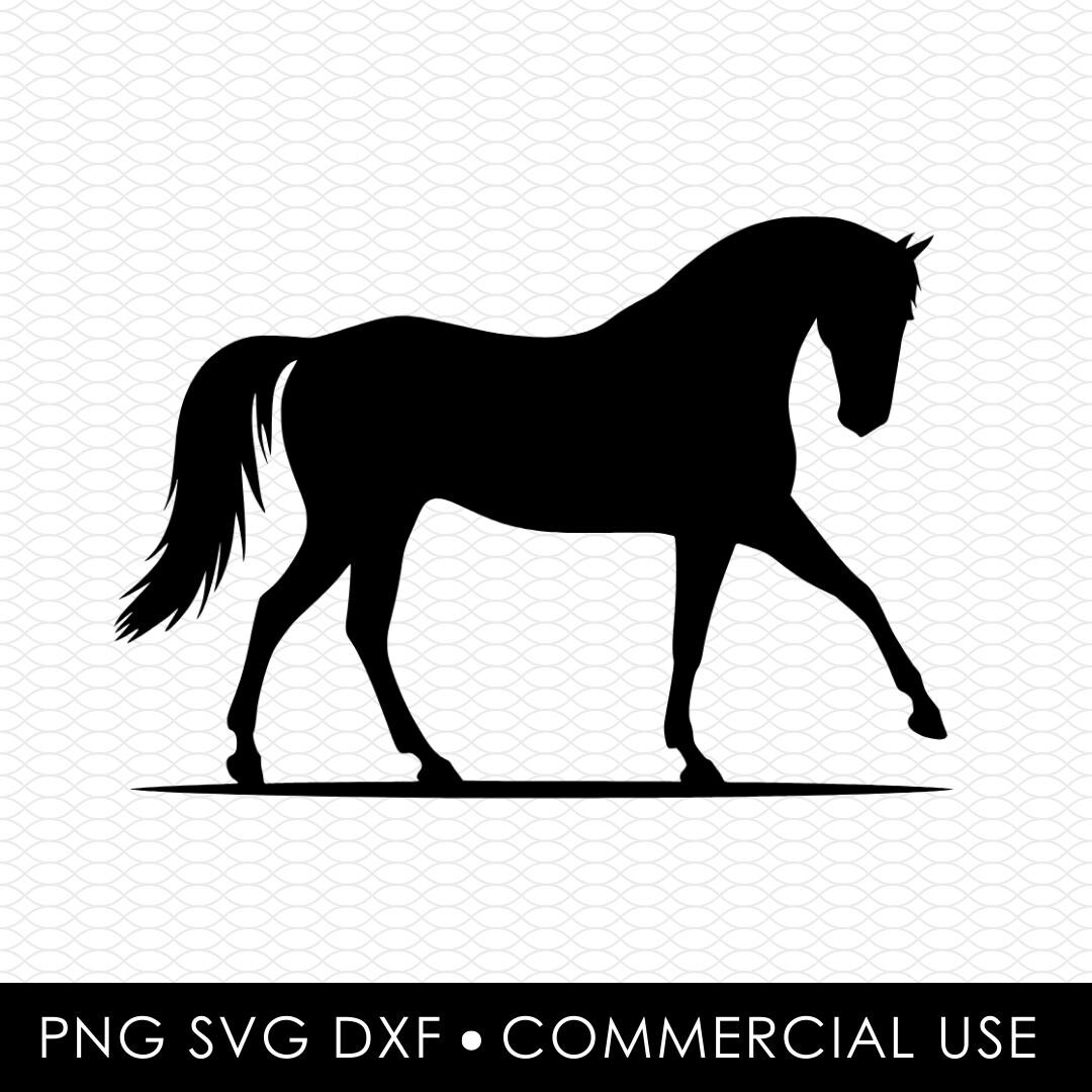 Pferd svg png, Pferd svg, Pferd png, Sublimationsentwürfe, Png-Designs ...