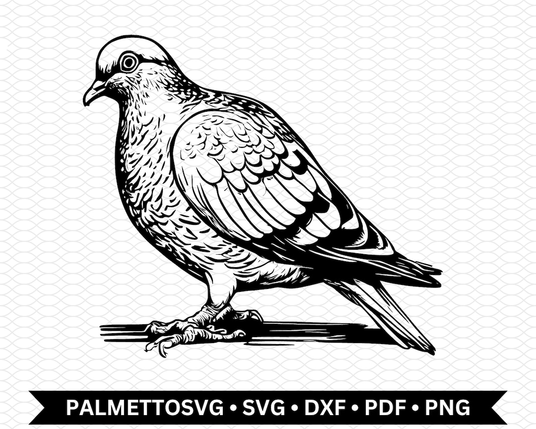 Pigeon Svg, Pigeon Dxf, Pigeon Cut File, Pigeon Png, Pigeon Clip Art ...