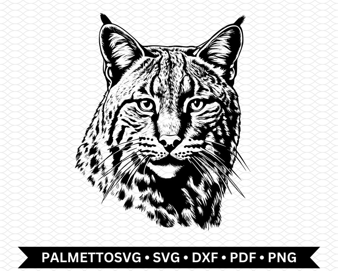 Bobcat Svg, Bobcat Dxf, Bobcat Cut File, Bobcat Clip Art, Bobcat Png ...