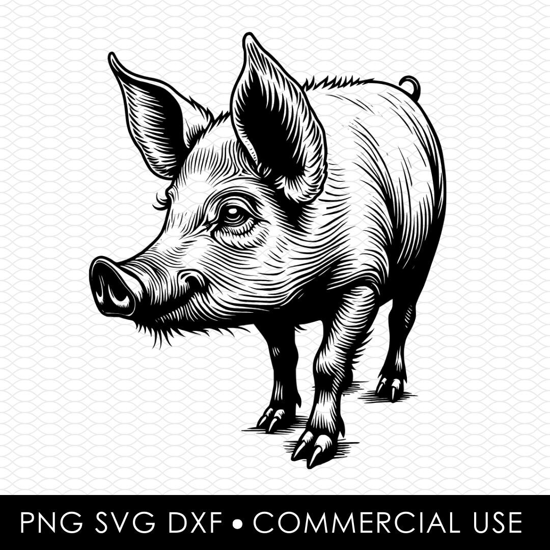 Pig Svg, Pig Png, Pig Dxf File, Pig Cut File, Pig Clip Art, Cricut ...