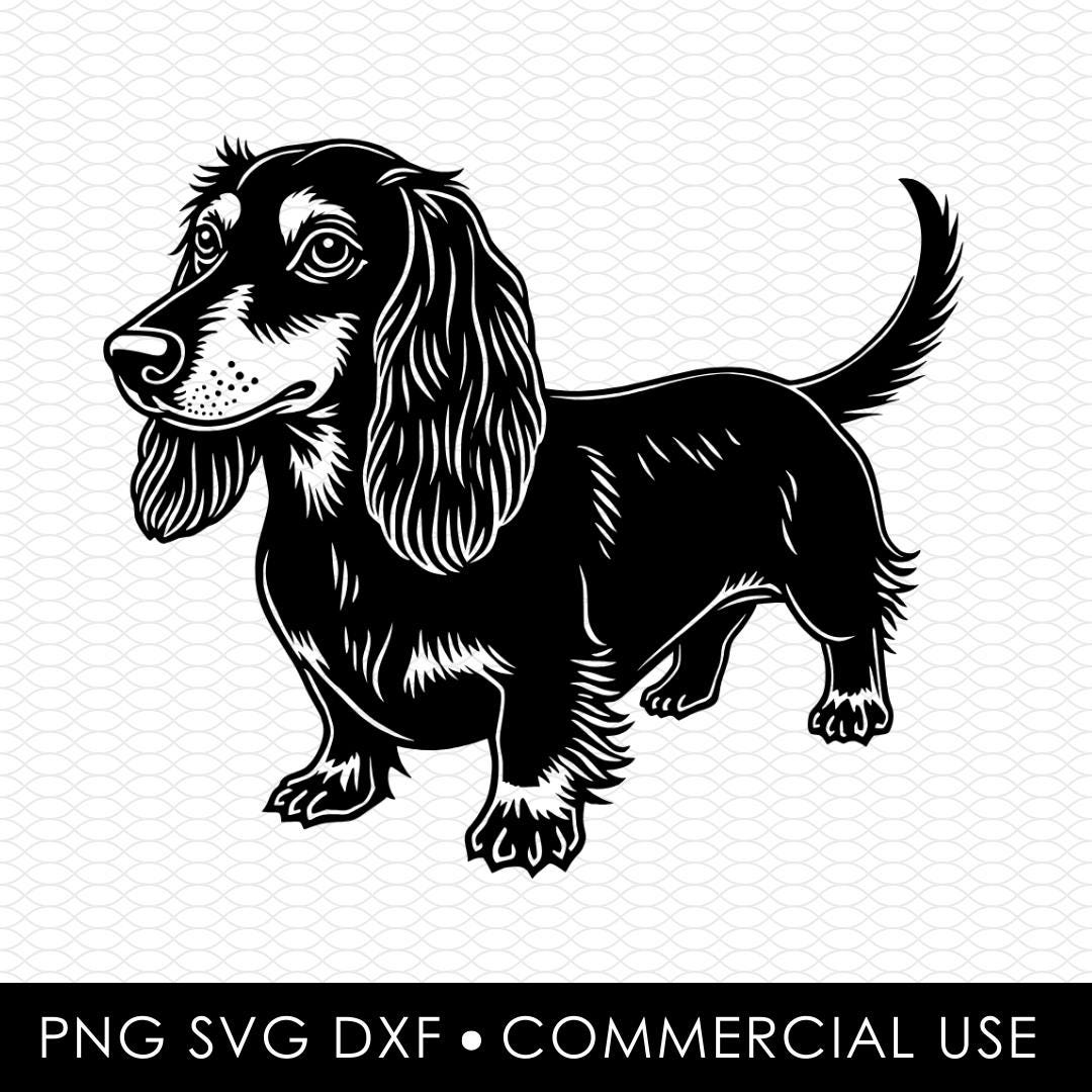 Doxie Svg, Doxie Png, Doxie Dxf, Doxie Cut File, Sublimation Designs ...