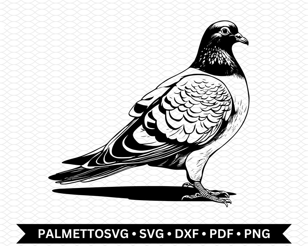 Pigeon Svg, Pigeon Dxf, Pigeon Cut File, Pigeon Png, Pigeon Clip Art ...
