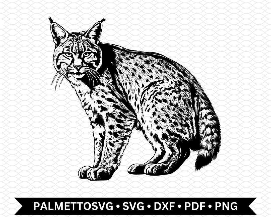 Bobcat Svg, Bobcat Dxf, Bobcat Cut File, Bobcat Clip Art, Bobcat Png ...