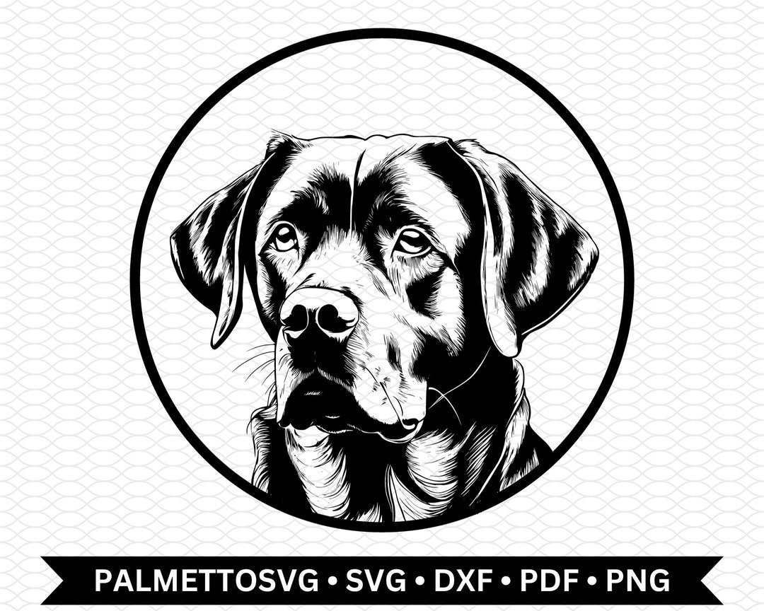 Lab Svg, Lab Dxf File, Lab Cut File, Lab Clip Art, Lab Png, Hunting Dog ...