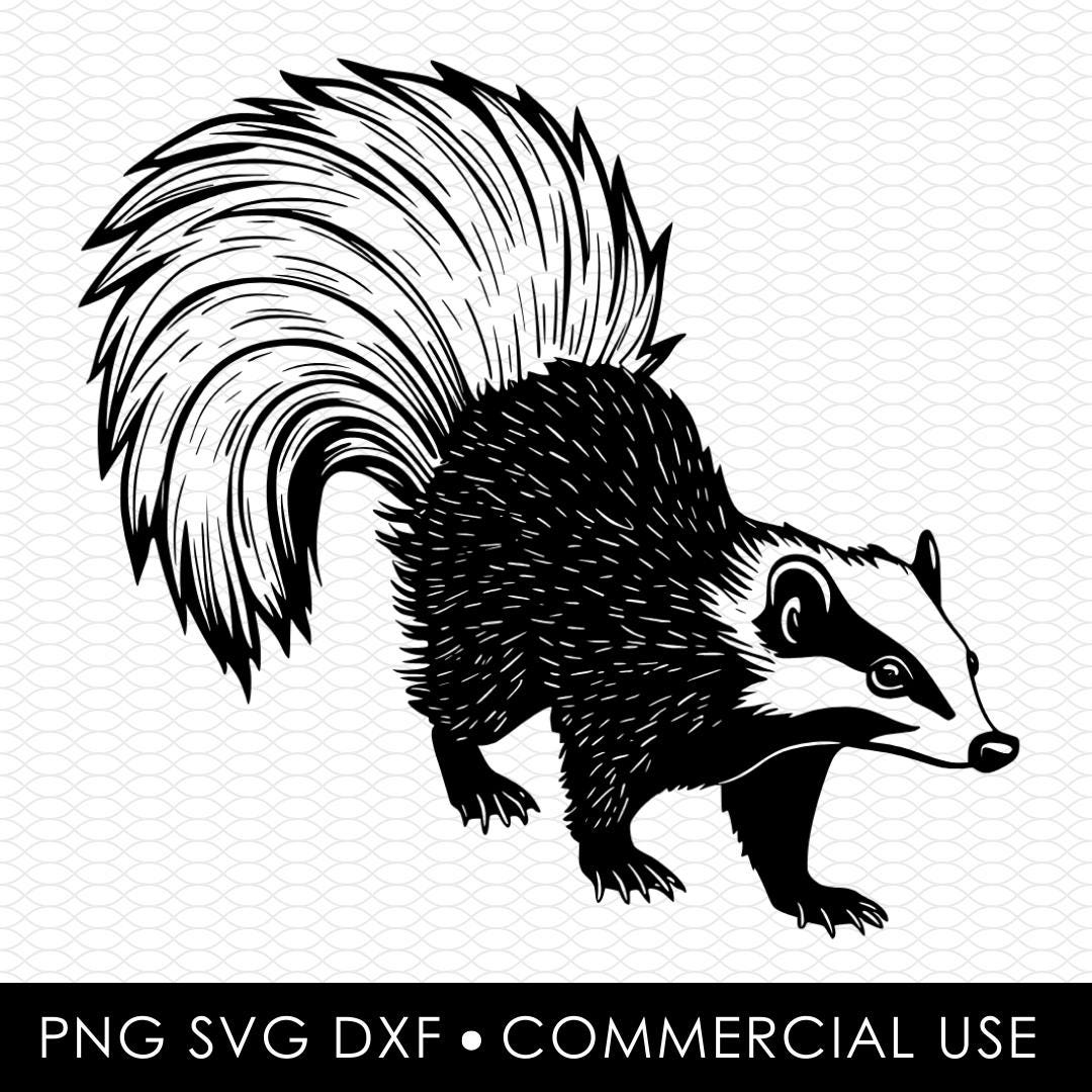Skunk Svg Png, Skunk Svg, Skunk Png, Skunk Png Design, Sublimation ...