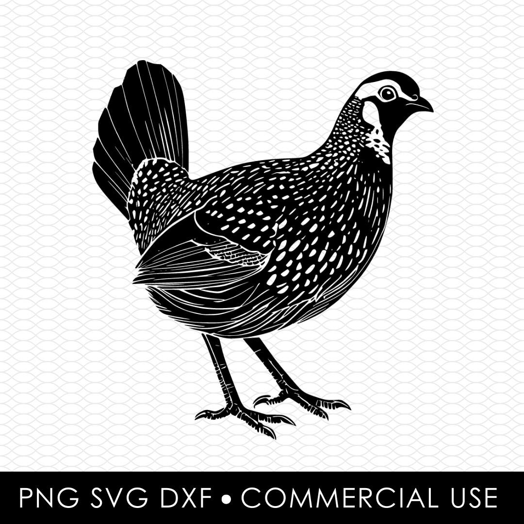 Quail Svg Png, Sublimation Designs, Png Designs, Svg Designs, Laser Cut ...