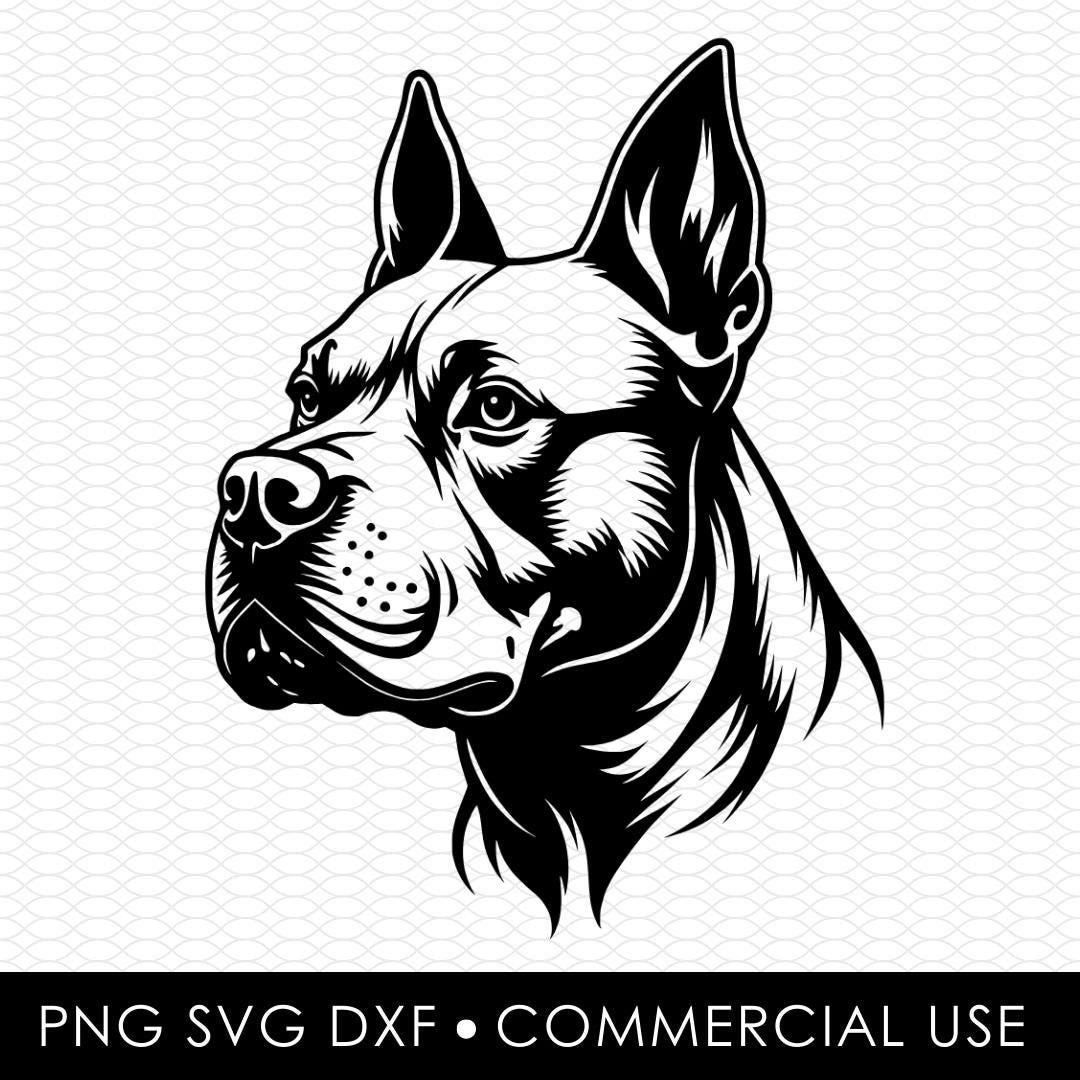 American Bully Svg, American Bully Png, American Bully Dxf, Sublimation ...