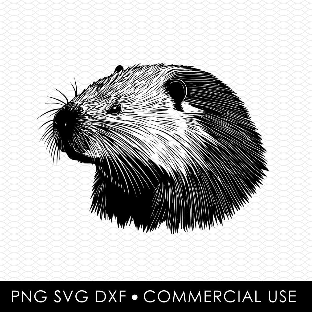 Beaver Svg Png, Beaver Svg, Beaver Png, Beaver Png Design, Sublimation ...
