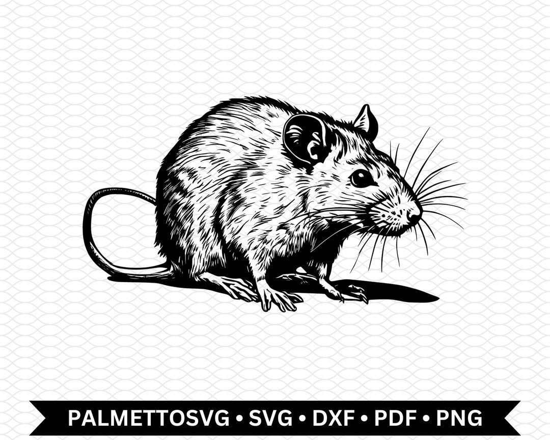 Rat Svg, Rat Dxf File, Rat Cut File, Rat Png, Rat Cut File, Svg Files ...