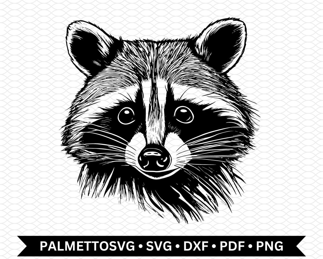 Raccoon Svg, Raccoon Png, Raccoon Dxf File, Raccoon Cut File, Raccoon Clip Art, Svg Files for ...