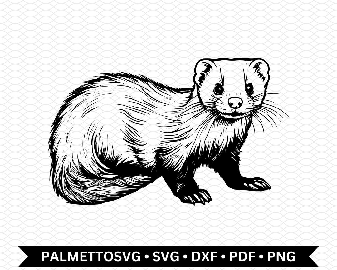 Ferret Svg, Ferret Dxf, Ferret Cut File, Ferret Png, Ferret Clip Art ...