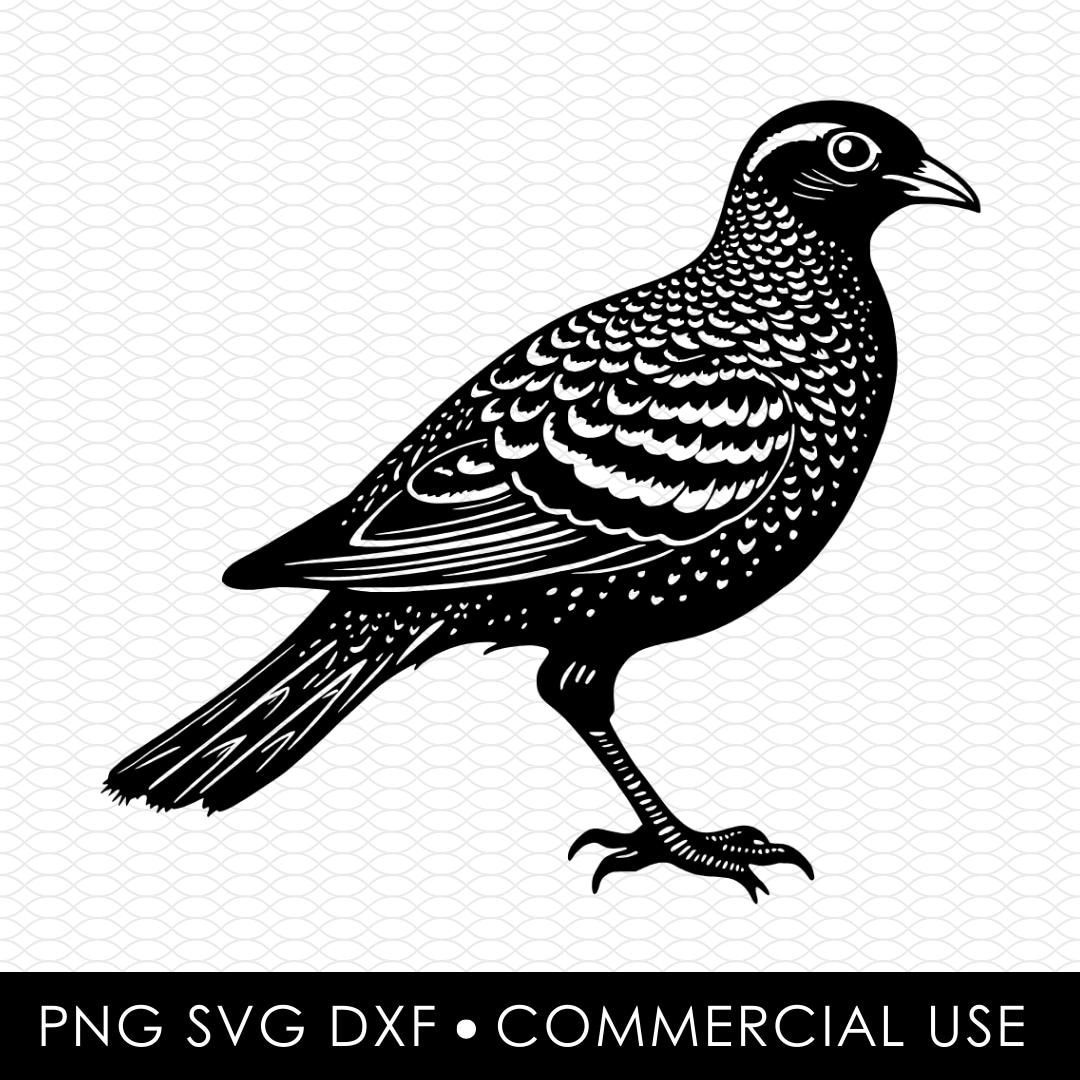 Quail Svg, Quail Png, Quail Dxf, Quail Cut File, Sublimation Designs ...