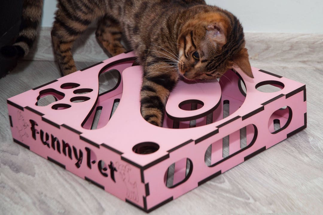 Cat Toy, Kitten Toy, Game for Cats, Kitten Puzzle, Cat Puzzle, Gift for ...