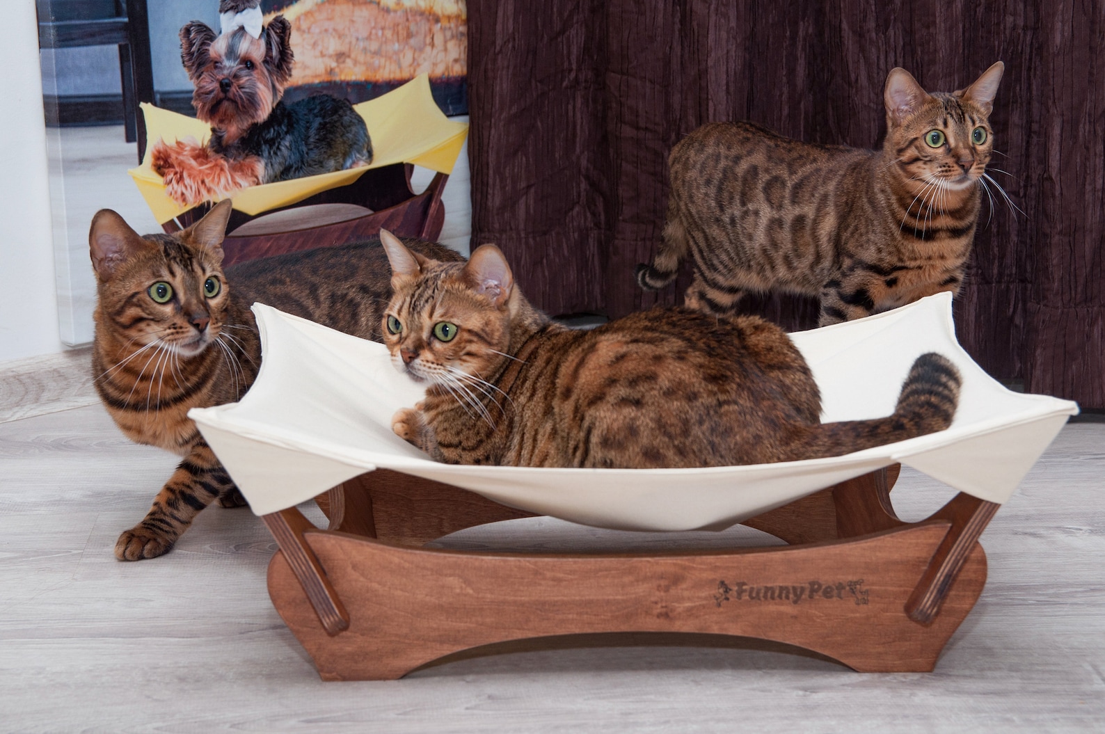 Personalized Dog Hammock Cat Hammock Dog Hammock Dog Bed | Etsy