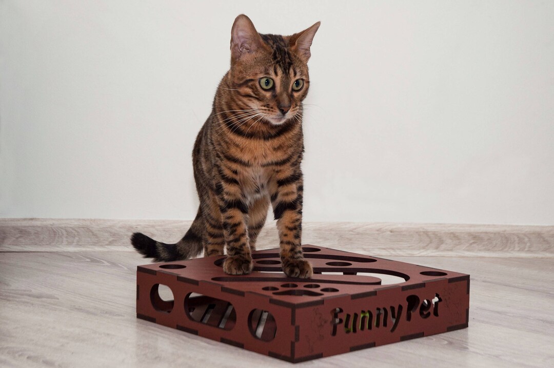 Cat Toy Kitten Toy Game for Cats Kitten Puzzle Cat Puzzle - Etsy