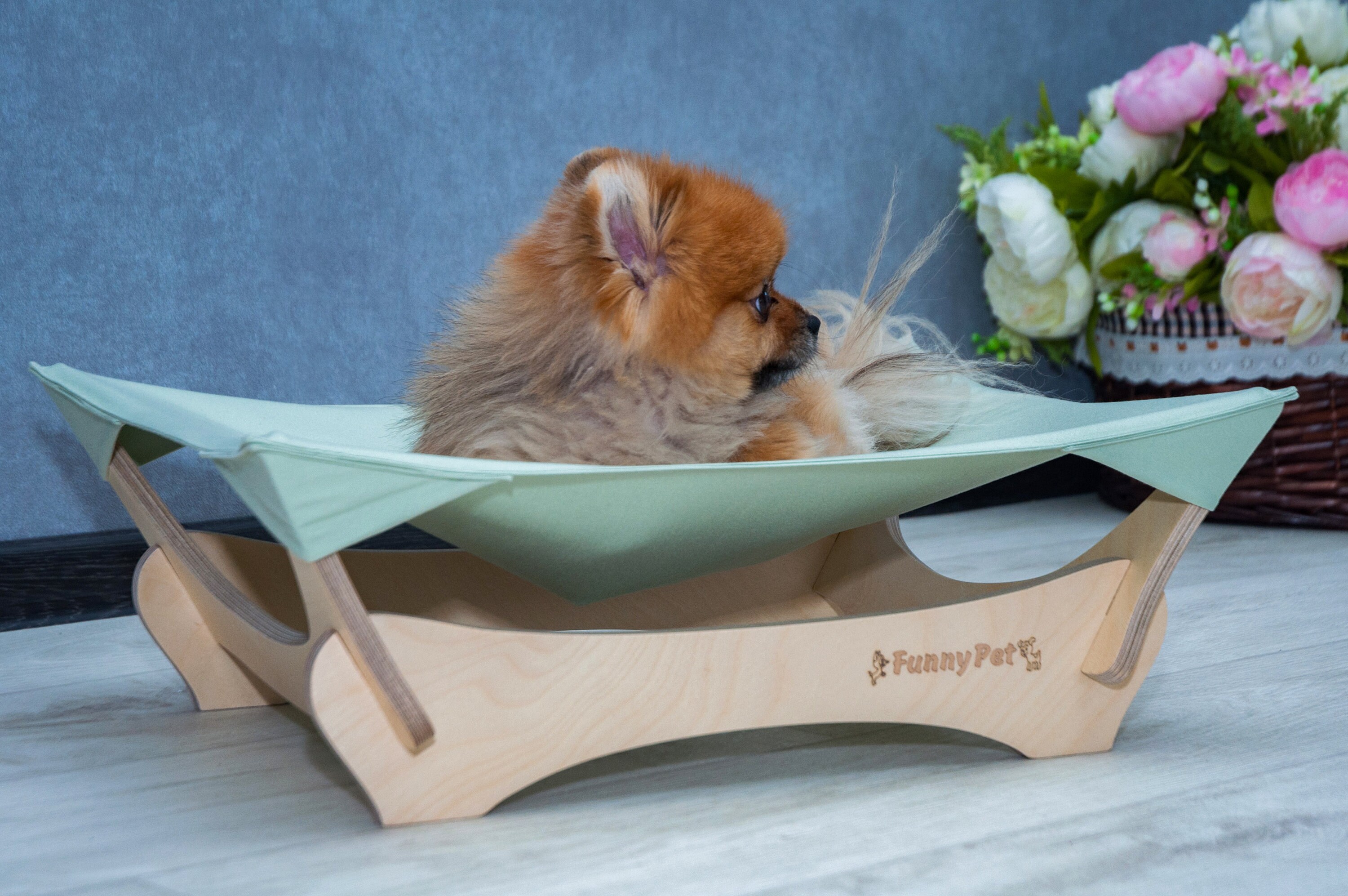 Personalized Cat Hammock Dog Hammock Cat Hammock Dog Bed | Etsy