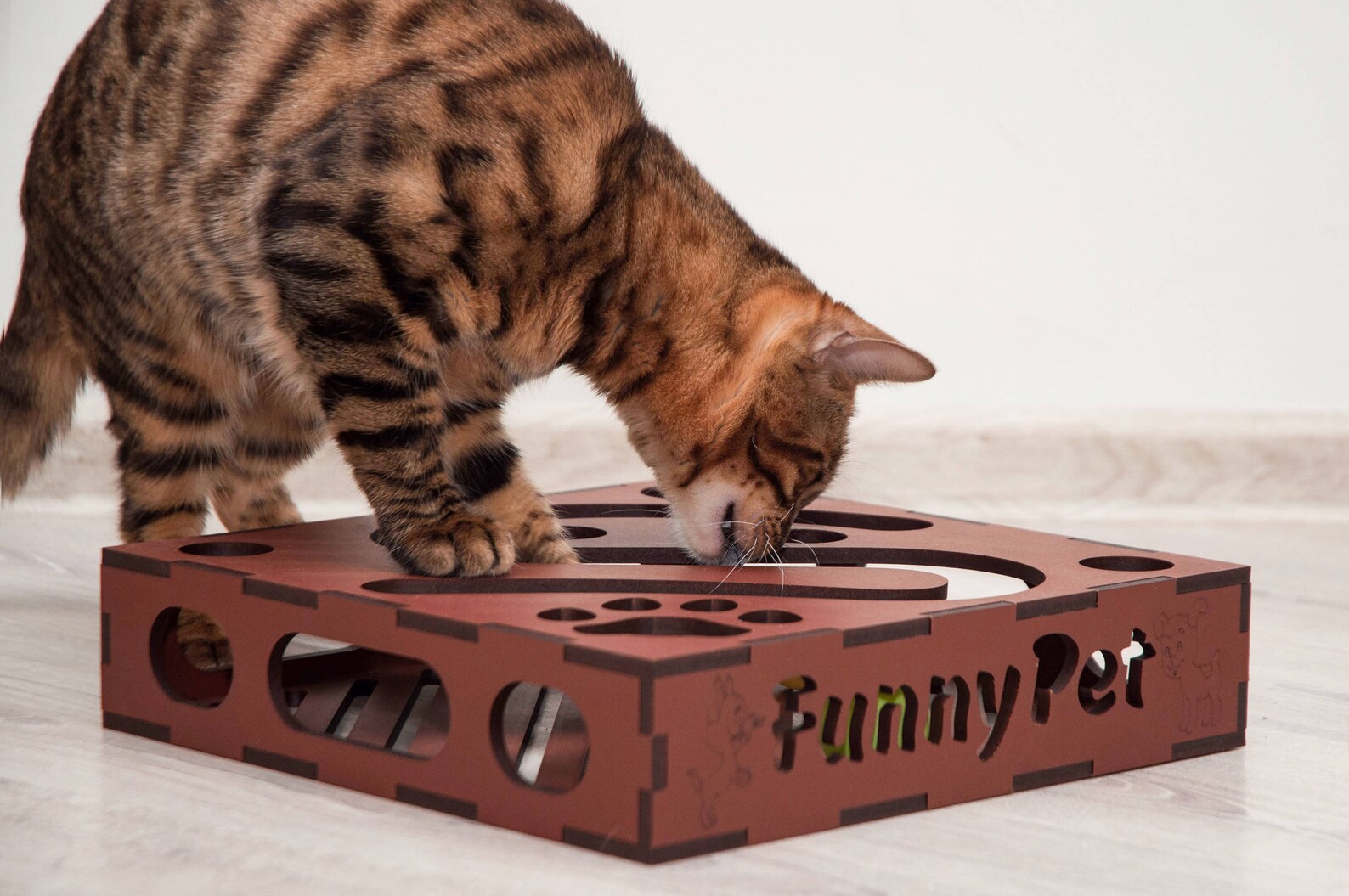 Cat Toy Kitten Toy Game for Cats Kitten Puzzle Cat Puzzle | Etsy