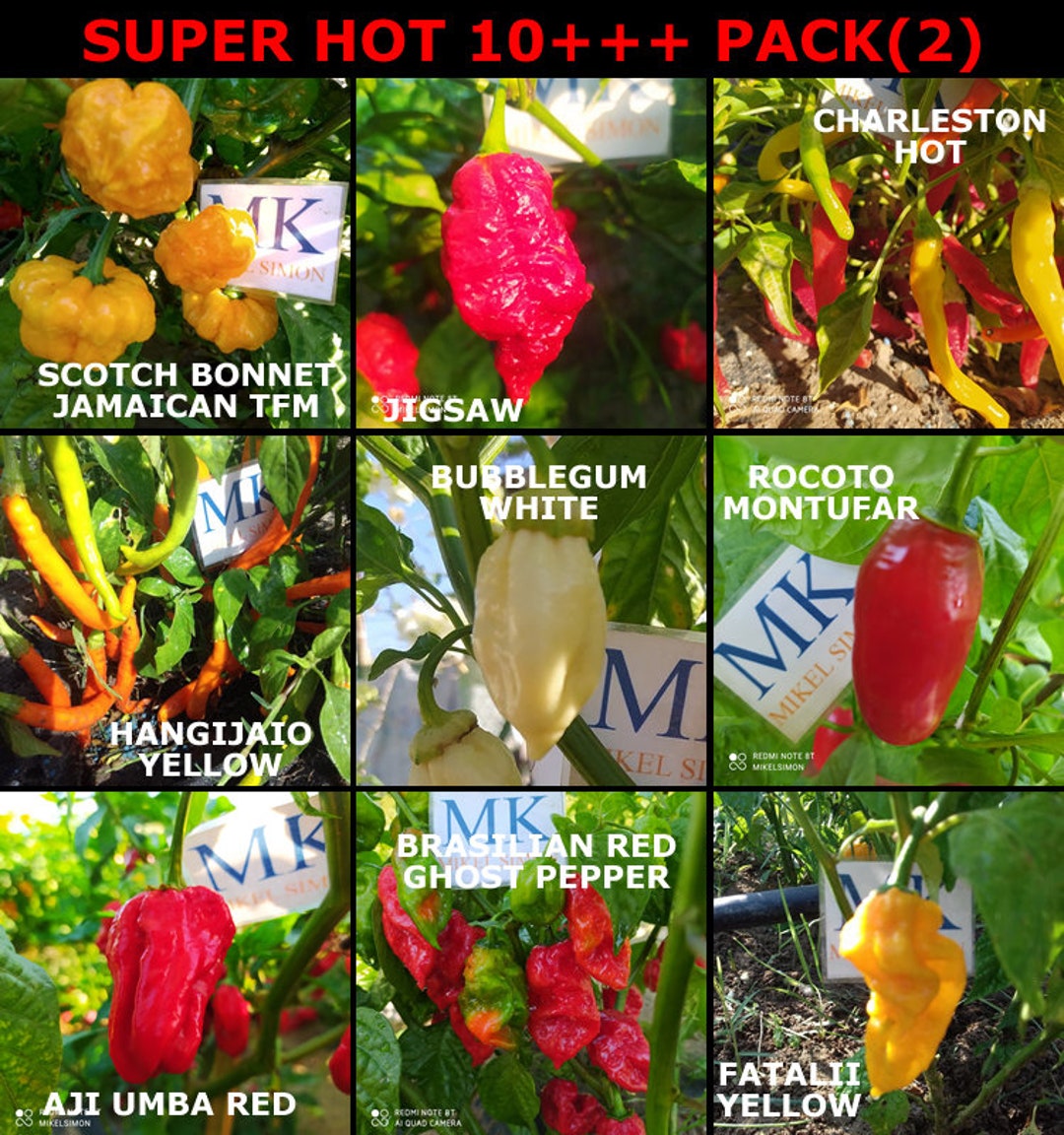 Chiles mas picantes del mundo super hot 9 variedades 90 - Etsy España