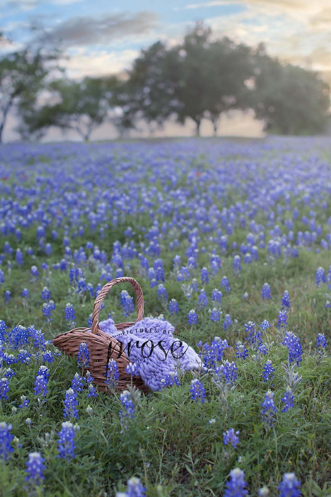 Basket in Bluebonnets - Digital Backdrop for Newborn Photography - Etsy