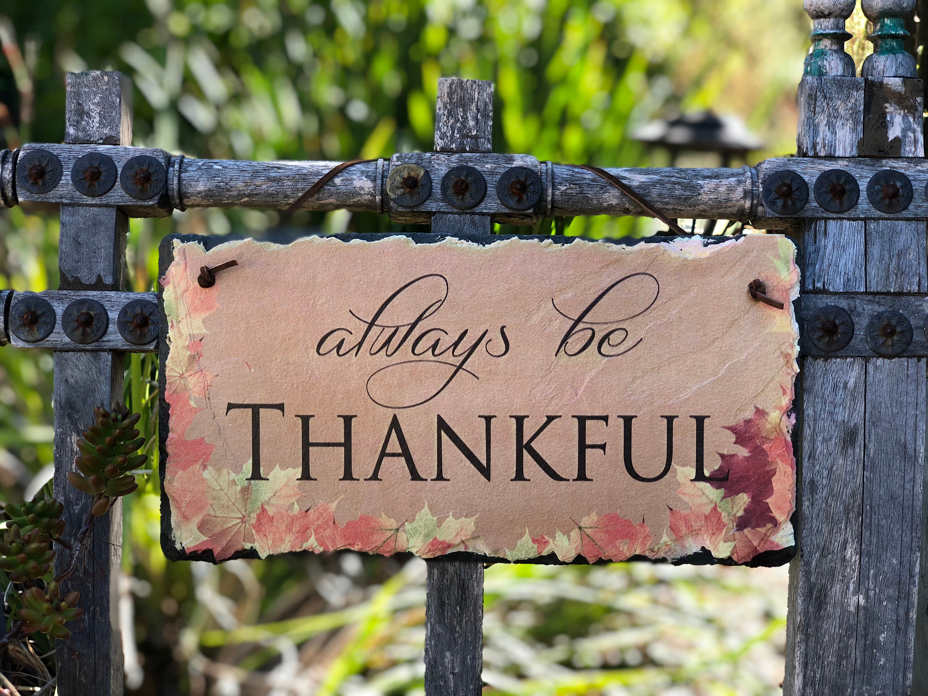 Always Be Thankful Fall Sign Fall Plaque Festive Sign - Etsy