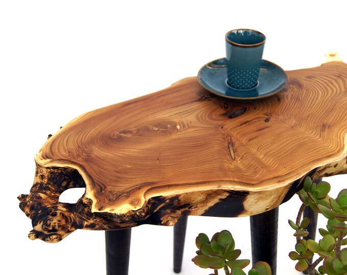 Small Live Edge Wood Slab Burl End Table Personalized Wild Olive Wood ...