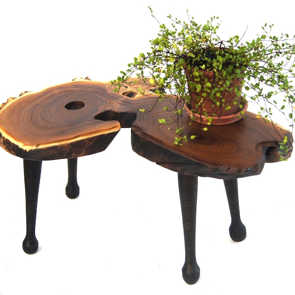 Bonsai Display Stand - Etsy