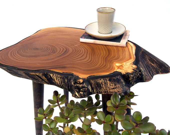 Small Live Edge Wood Slab Side Table Wild Olive Wood End Table Tree ...
