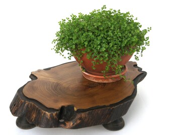 Live Edge Plant Stand | Etsy