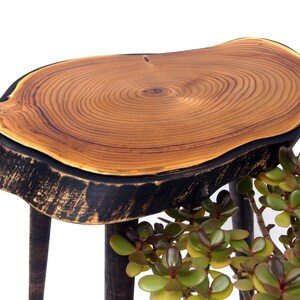 Small Live Edge Wood Slab Side Table Wild Olive Wood Coffee - Etsy