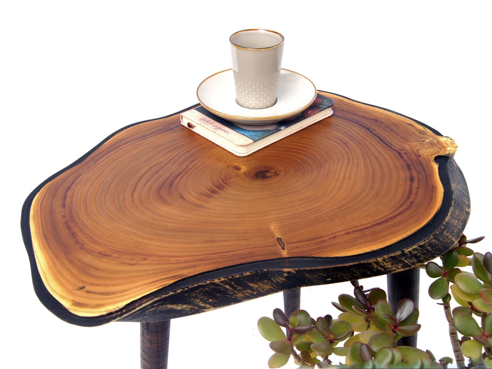 Small Live Edge Wood Slab Side Table Wild Olive Wood Coffee - Etsy