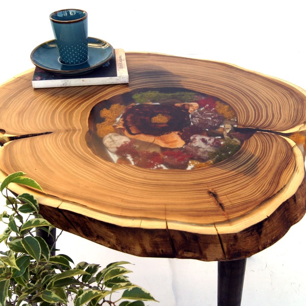 Tree Stump Table - Etsy Canada