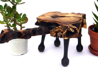 Set of 2 Large Bonsai Display Stands Live Edge Wood Plant Stands Pair ...