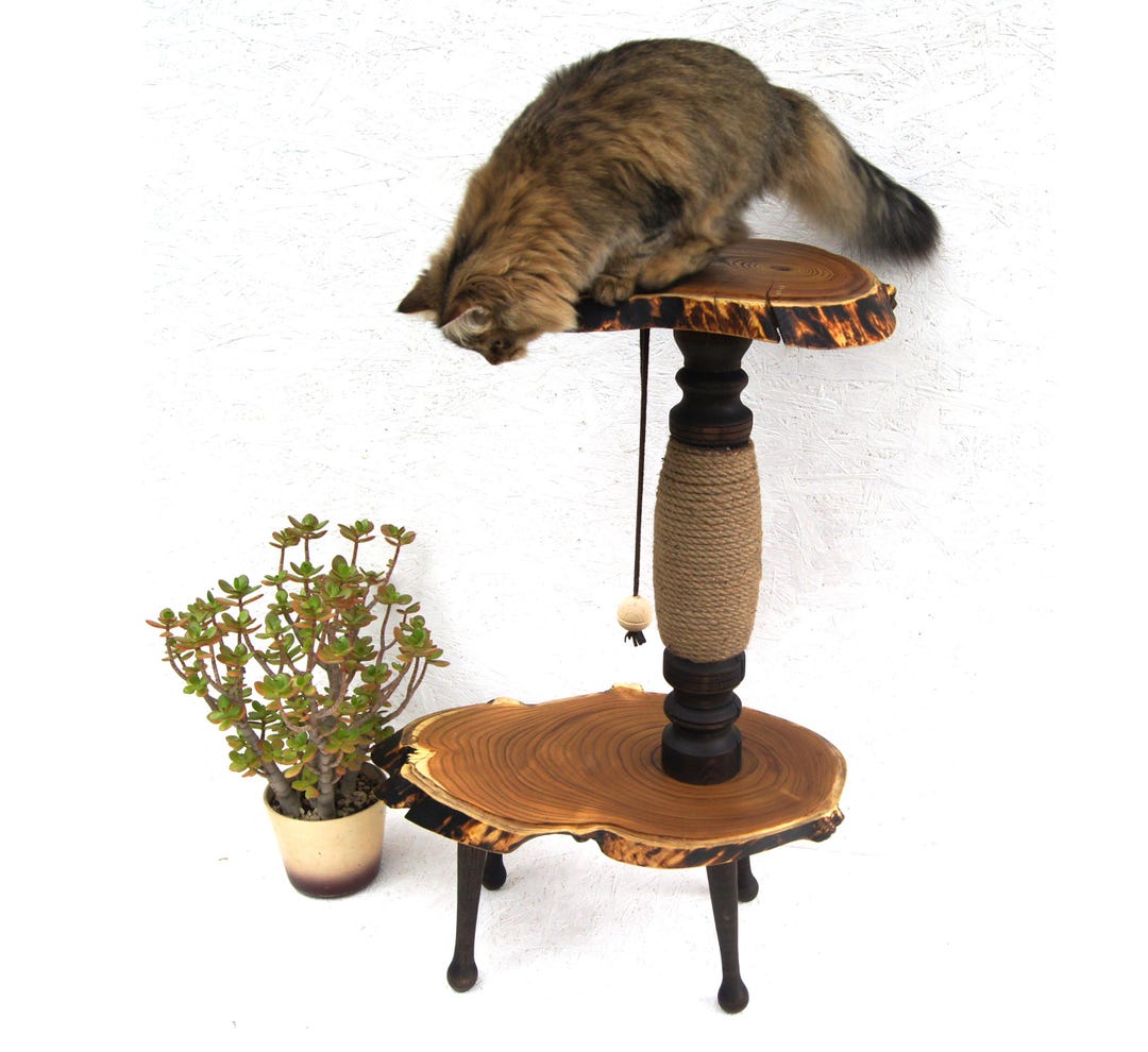 Solid Wood Scratching Post for Cat, Wooden Cat Furniture, Large ...