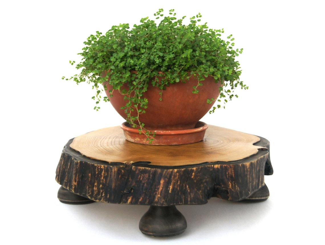 Bonsai Display Stand Live Edge Wood Crystal Figurine Stand - Etsy