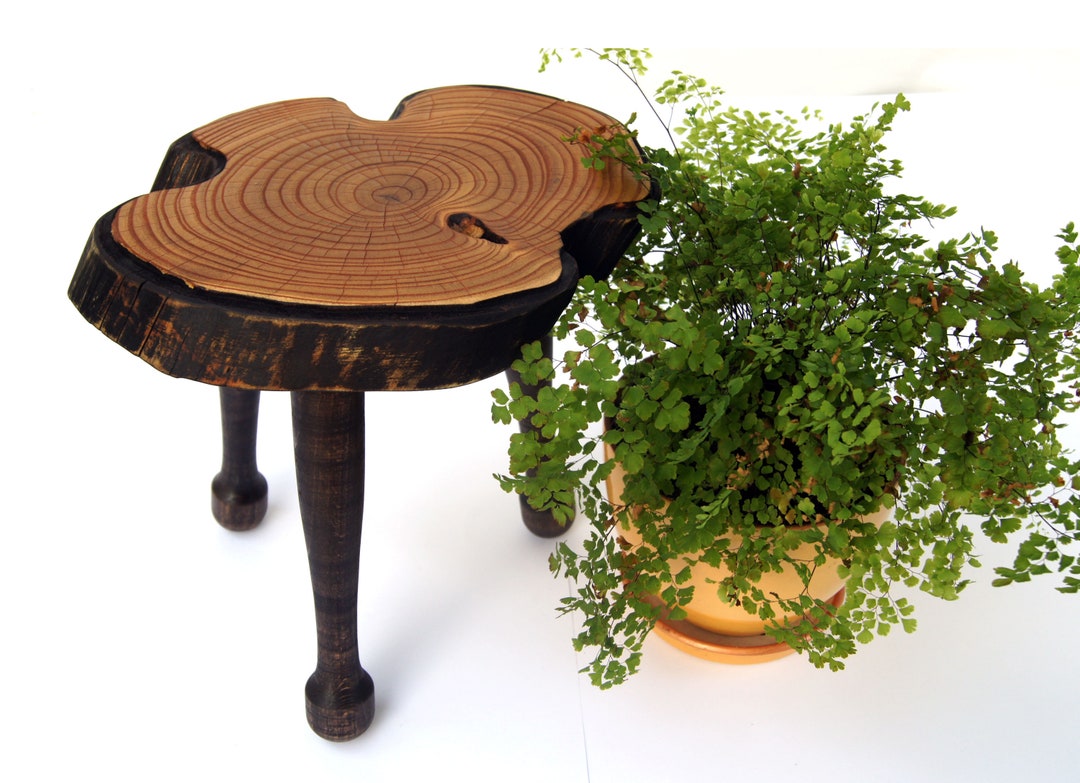 Live Edge Wood Bonsai Display Stand Wooden Planter Stand - Etsy