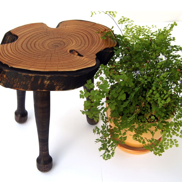 Live Edge Pot Stand - Etsy