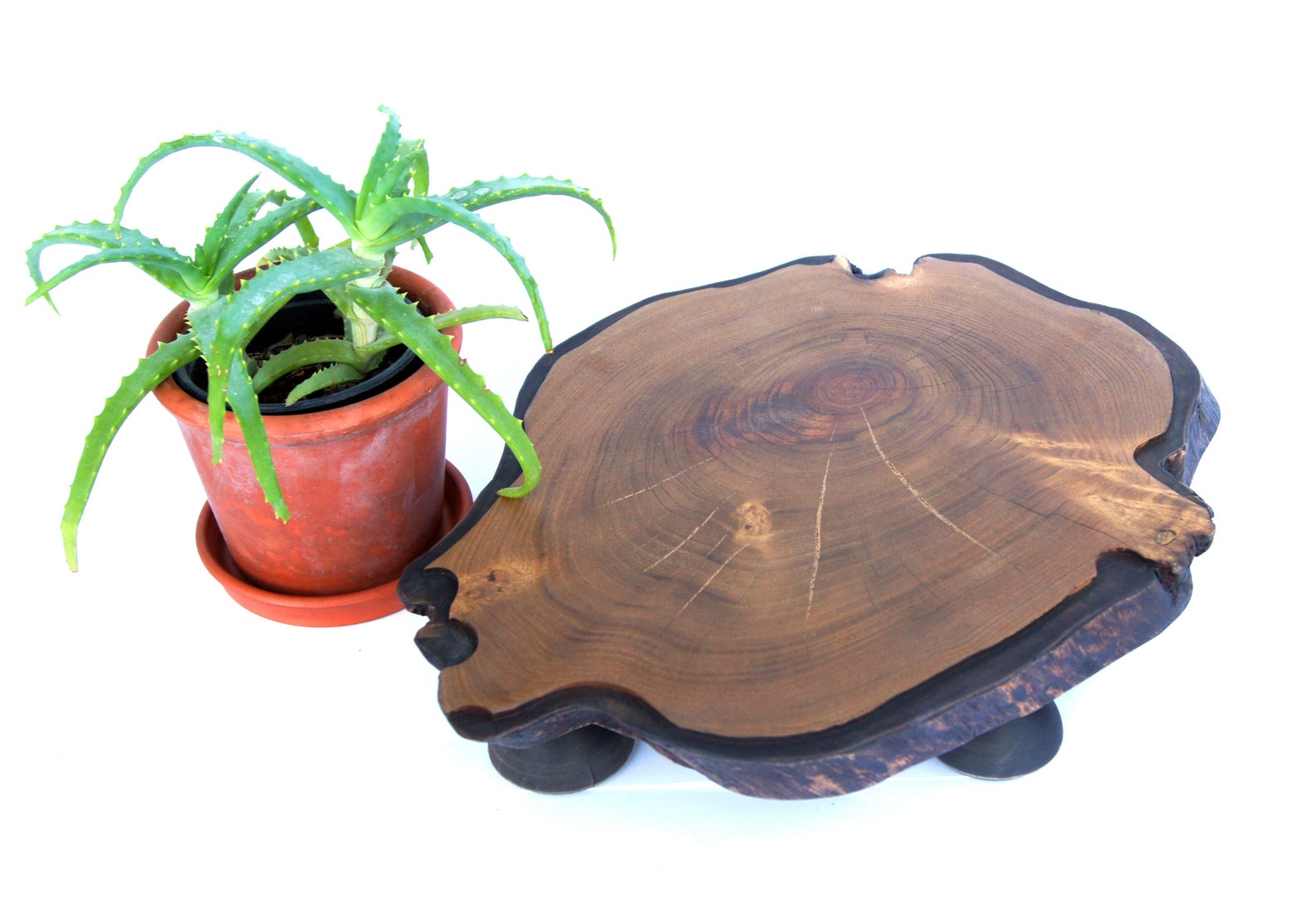 Wood plant pot stand Live edge wood slab Bonsai display stand | Etsy