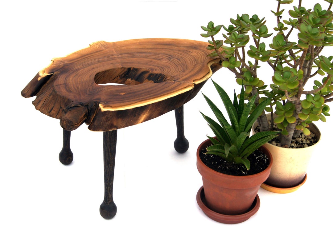 Unusual Live Edge Wood Bonsai Display Stand, Large Planter Stand Wood ...