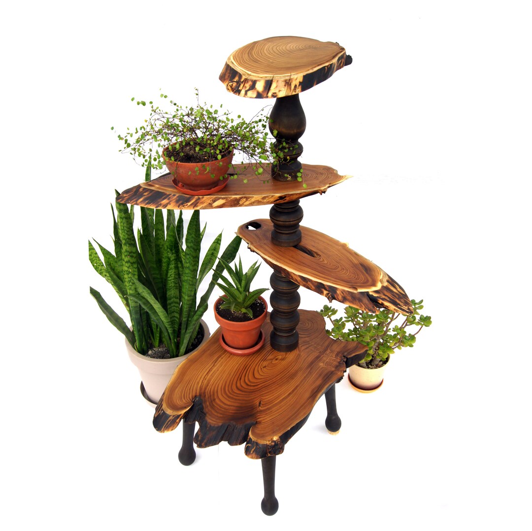 Tall 4-tier Wooden Pot Plant Stand Indoor Live Edge Wood Slab Planter ...