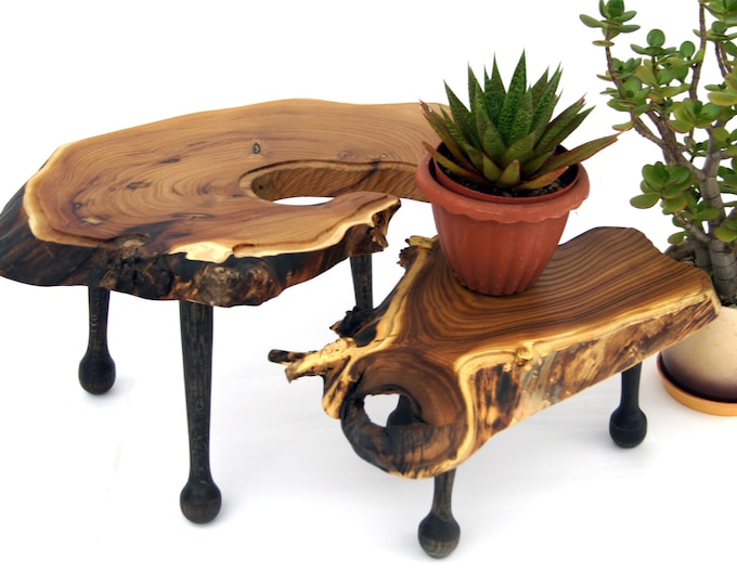 Set of 2 Large Bonsai Display Stands Live Edge Wood Plant Stands Pair ...