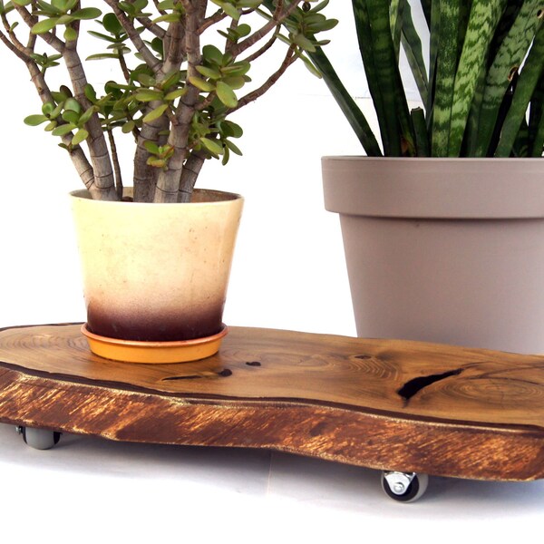 Wood Plant Stand With Wheels - Etsy