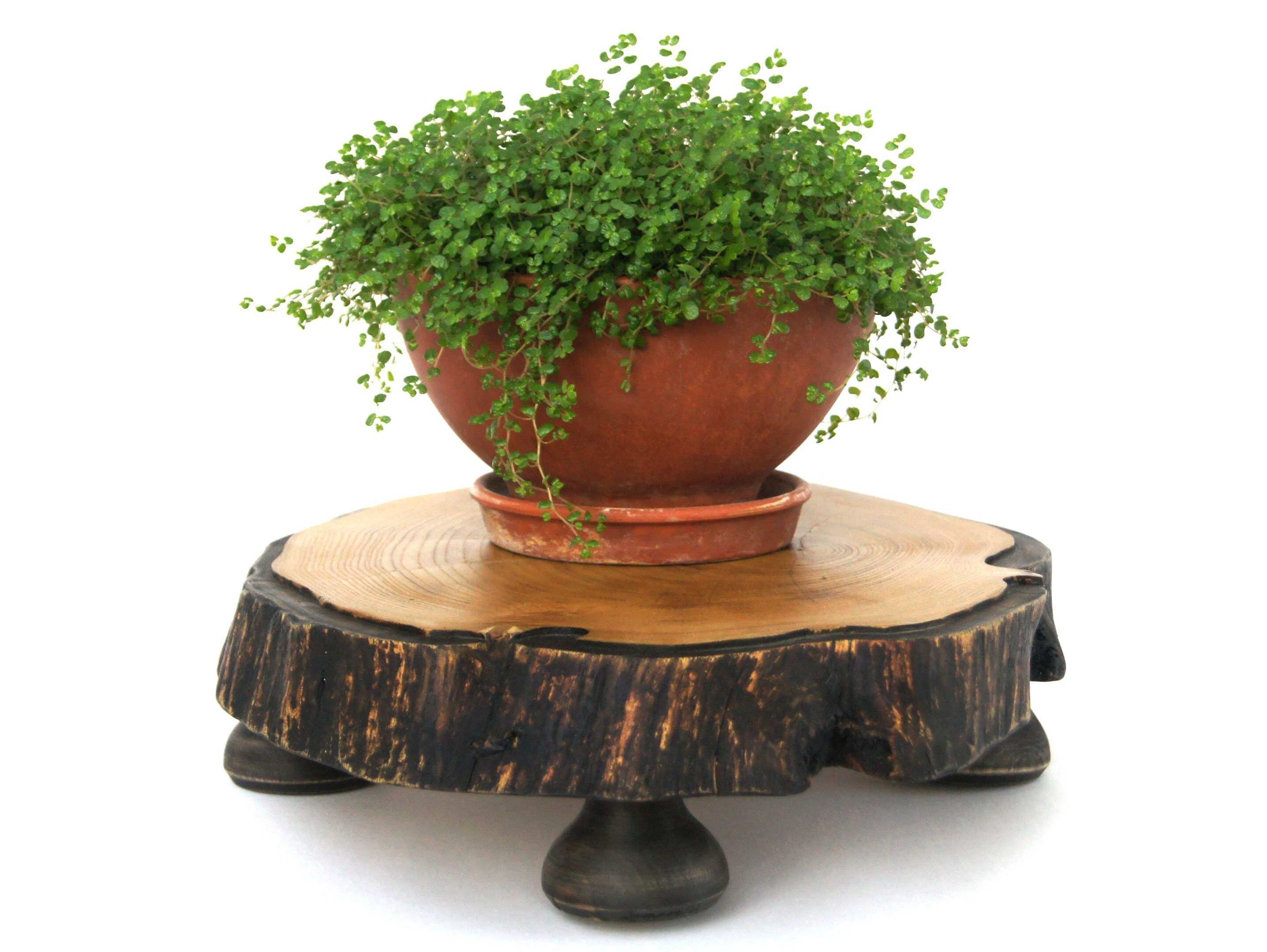 Bonsai Display Stand Live Edge Wood Crystal Figurine Stand | Etsy