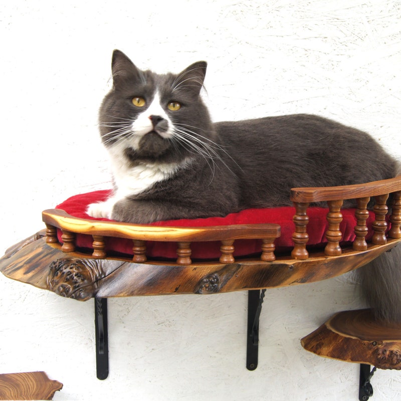 Cat Bed Wall Mounted - Etsy