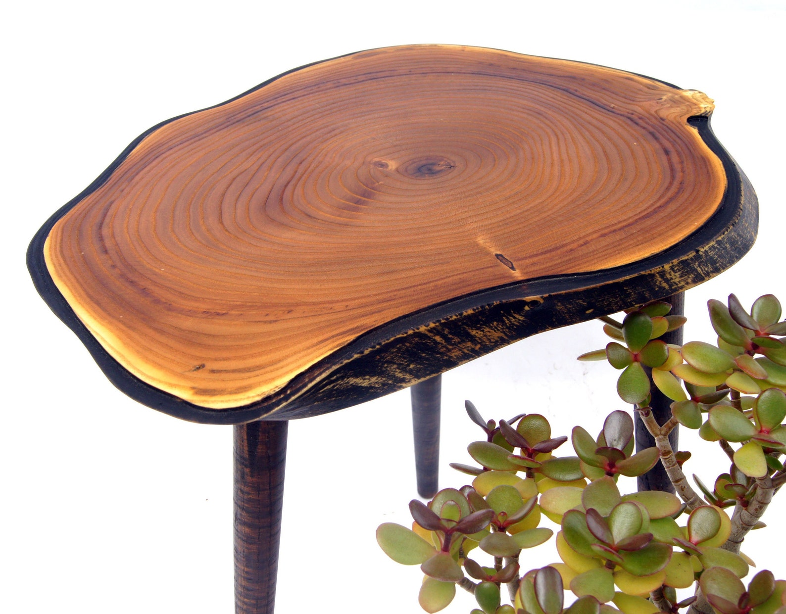 Small Live Edge Wood Slab Side Table Wild Olive Wood Coffee - Etsy