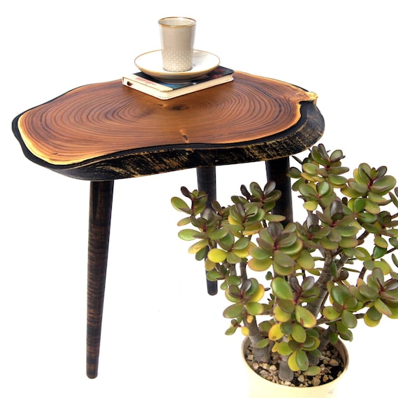 Small Live Edge Wood Slab Side Table Wild Olive Wood Coffee - Etsy