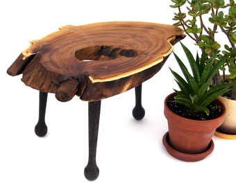 Set of 2 Large Bonsai Display Stands Live Edge Wood Plant Stands Pair ...