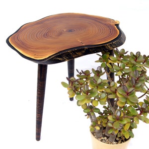 Small Live Edge Wood Slab Side Table Wild Olive Wood Coffee - Etsy